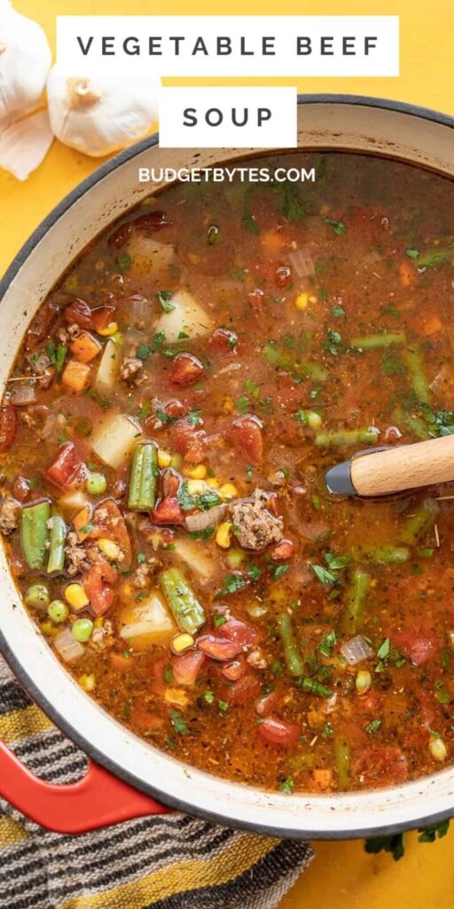 Easy Vegetable Beef Soup - Budget Bytes